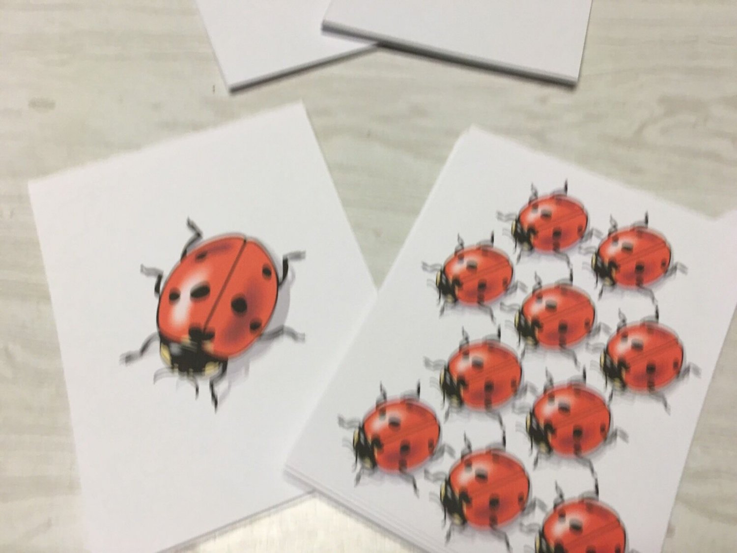 Ladybug Numbers 4 ways - Math -Laminated Cards Set Counting. 1-10