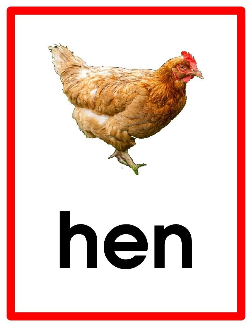 CVC Word card - Cards for Learning Center 40 Picture Cards Teaching ...