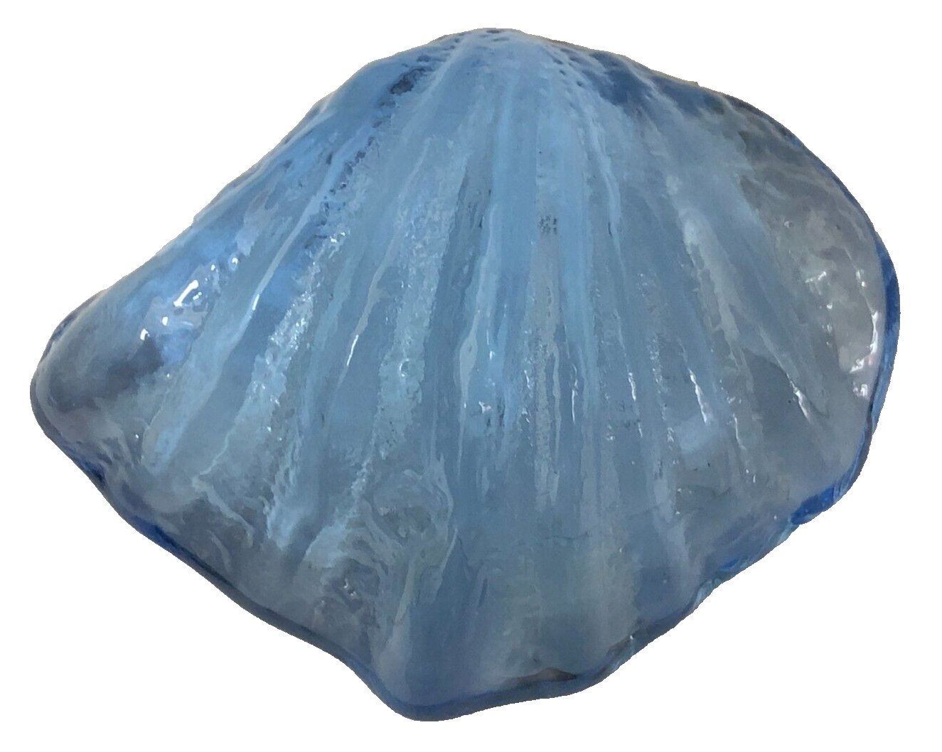 New Art Glass hand made small light cobalt irregular shaped Seashell ...