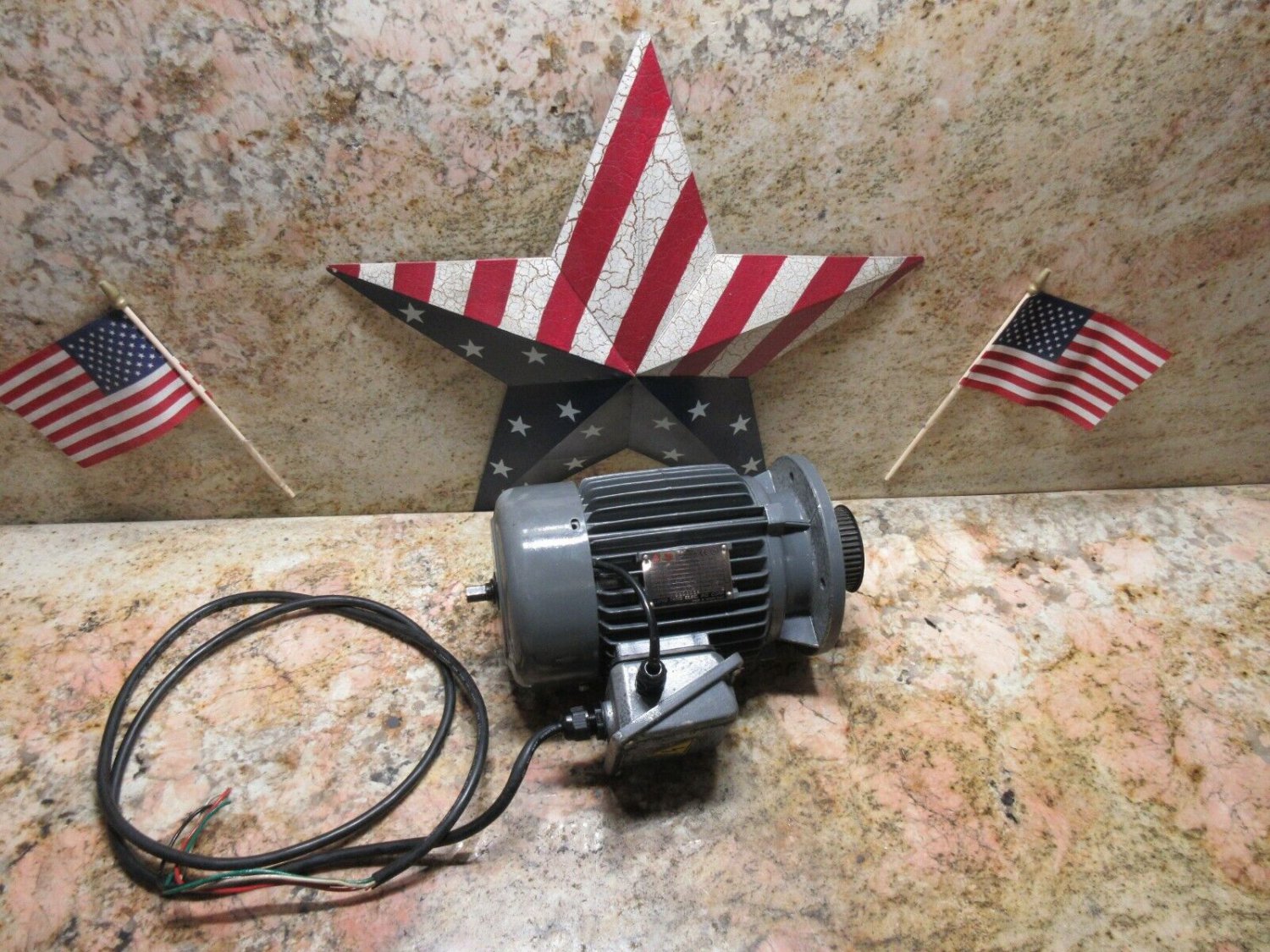 LUNG TANG ELECTRIC MOTOR PUMP TYPE AEV F IEC34-1:94/AI:96 FADAL 5020 ...