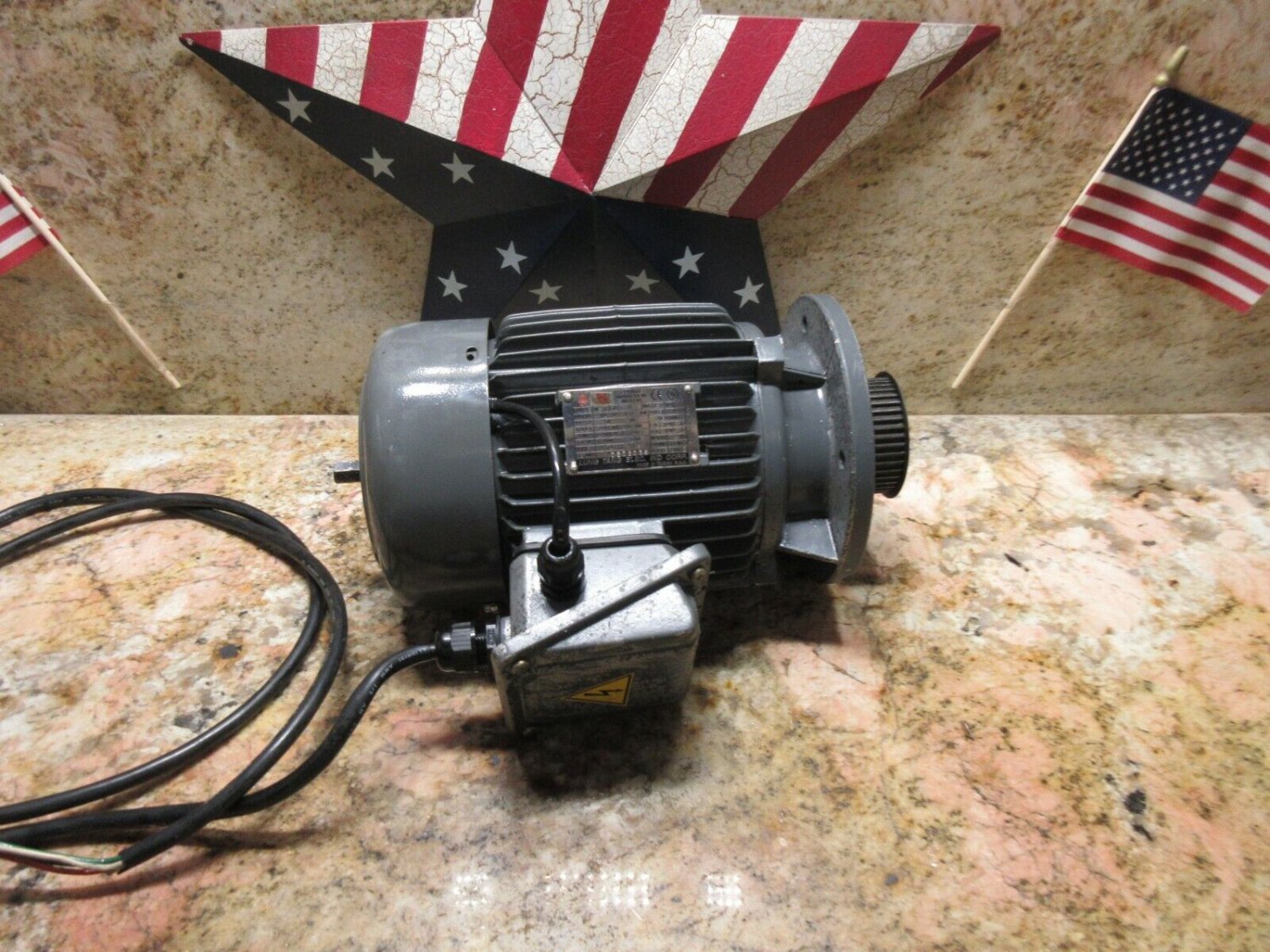 LUNG TANG ELECTRIC MOTOR PUMP TYPE AEV F IEC34-1:94/AI:96 FADAL 5020 ...