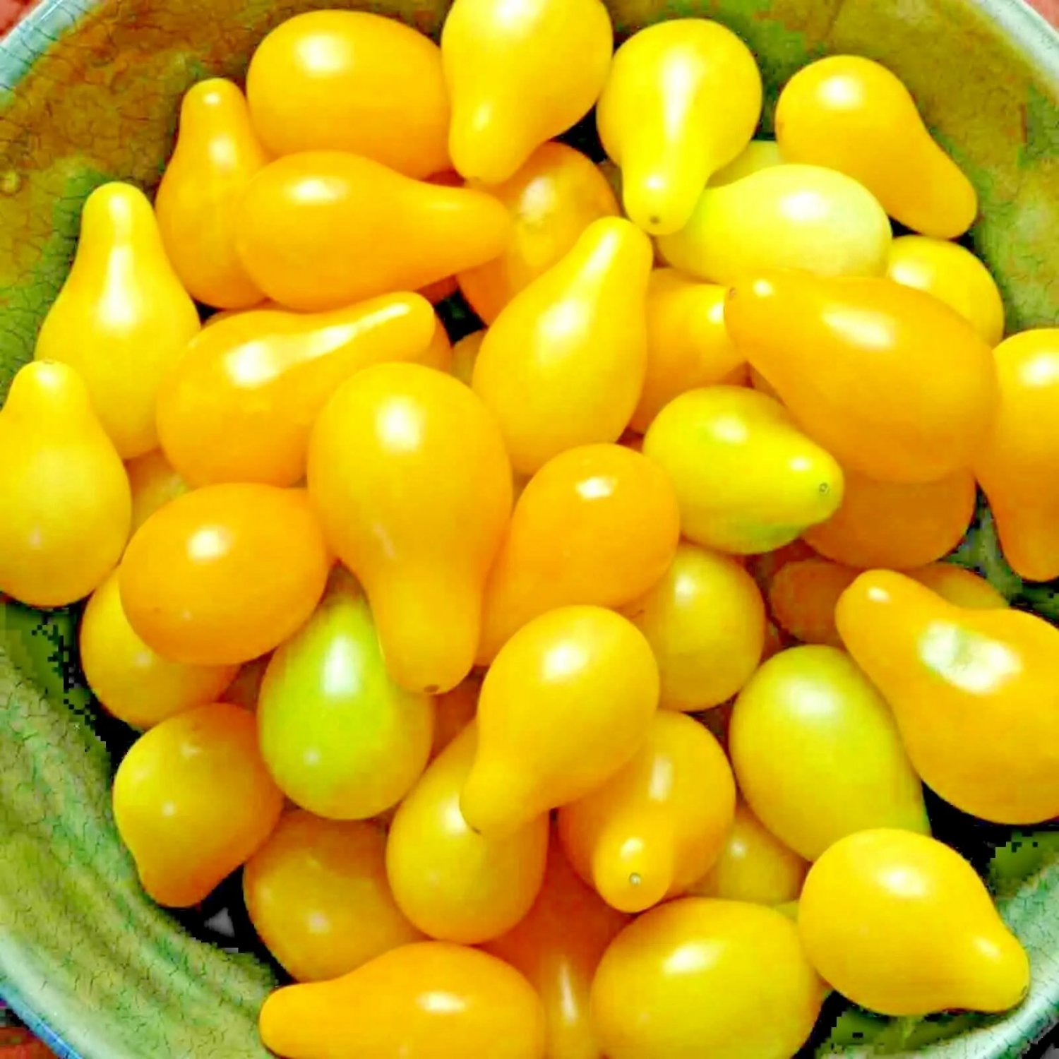 30 Seeds Tomato Yellow Pear Cherry Rare Heirloom Vegetable Garden