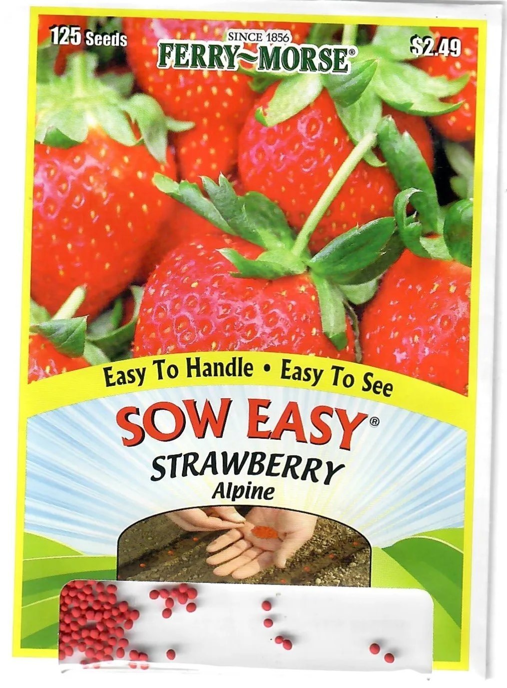 Strawberry Alpine Vegetable Seeds