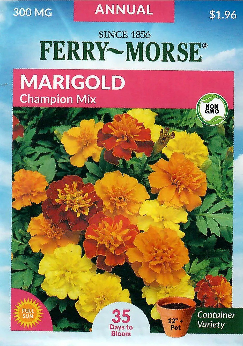 Marigold Champion Mix Flower Seeds Non-Gmo