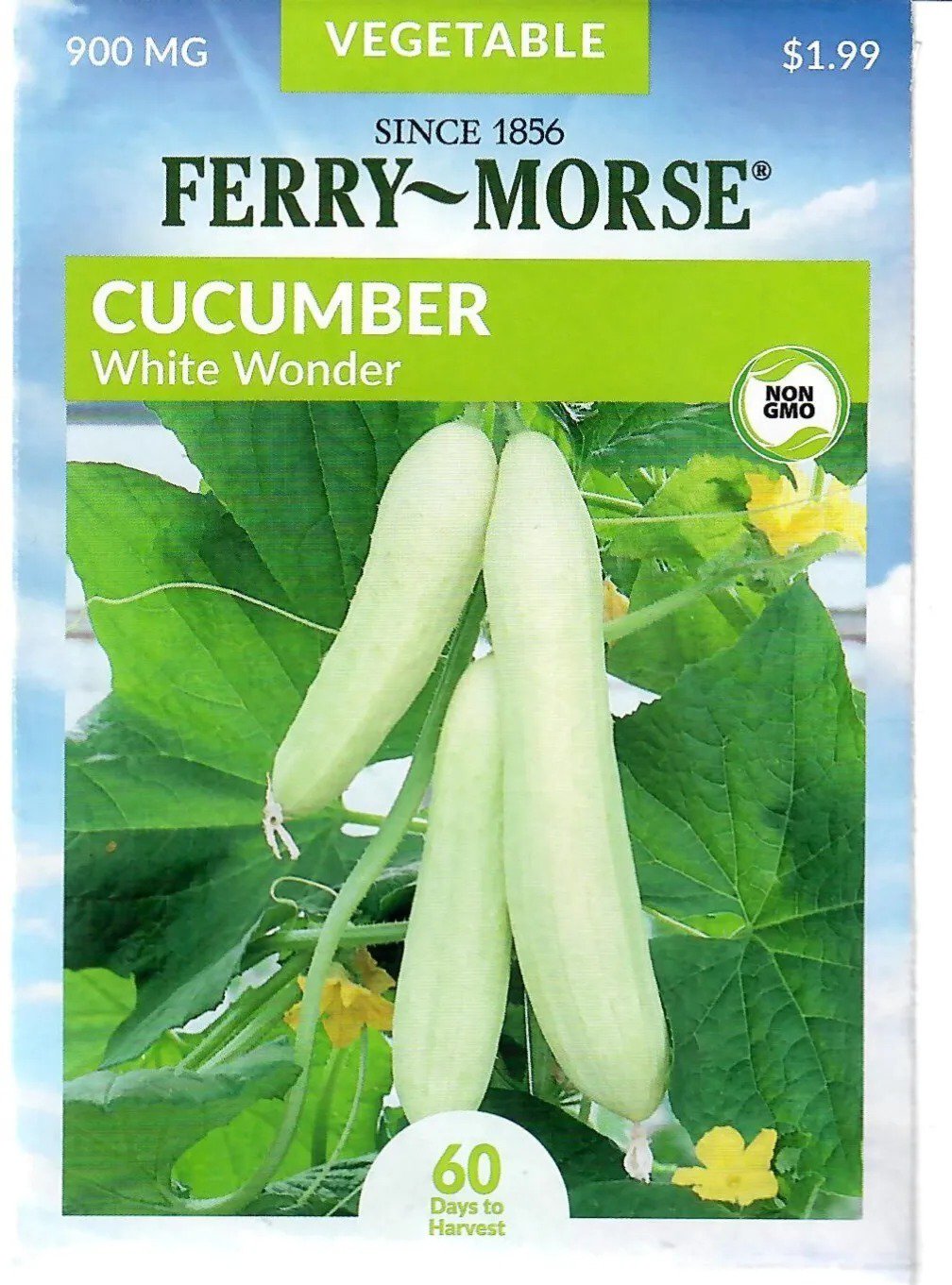 Cucumber White Wonder Vegetable Seeds Non-Gmo