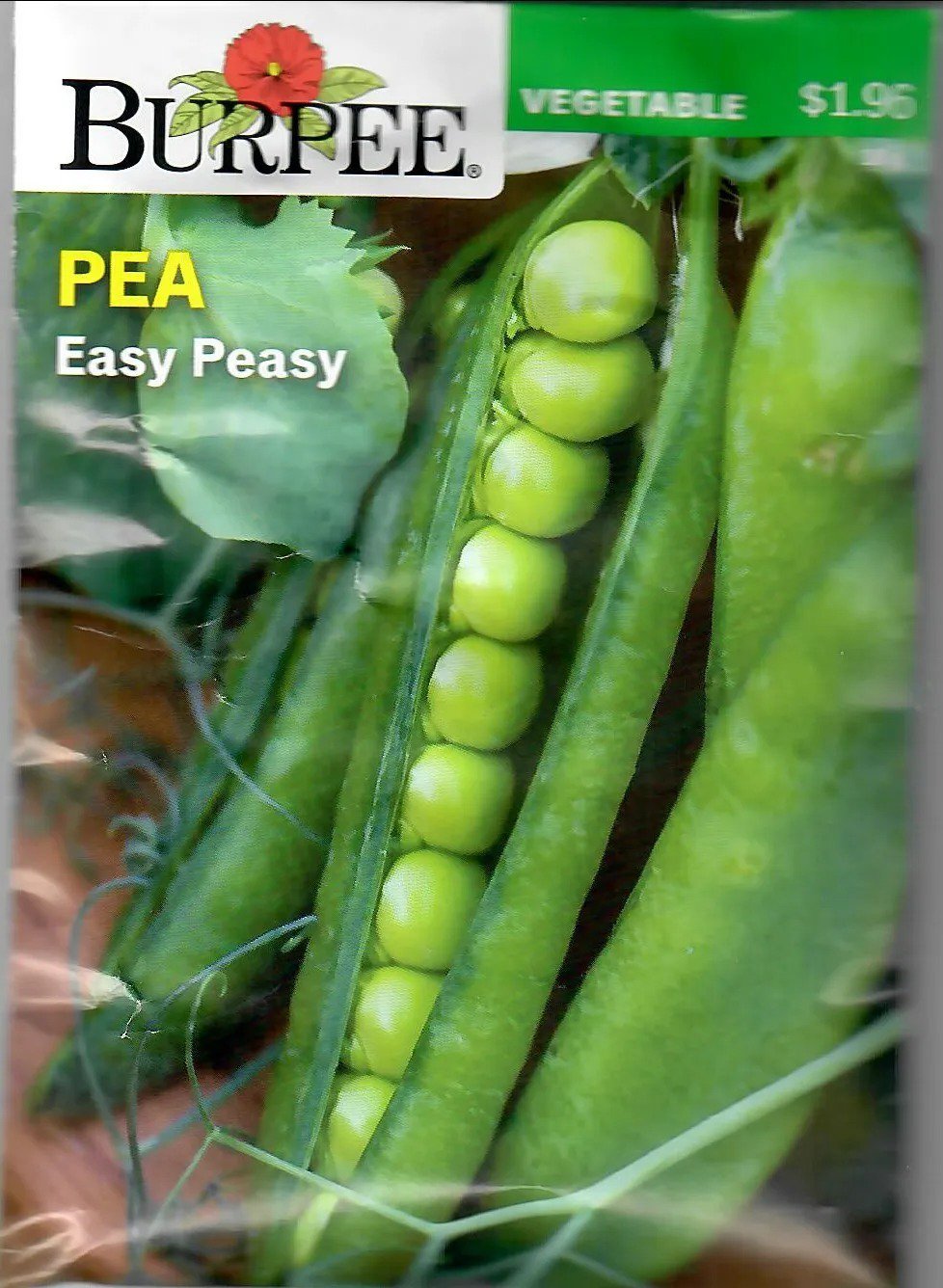 Pea Easy Peasy Vegetable Seeds Non-Gmo