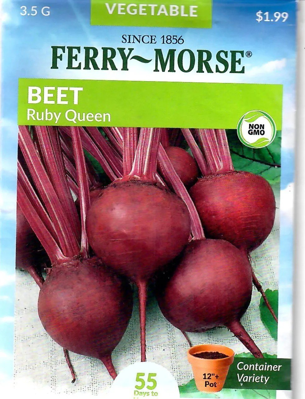 Beet Ruby Queen Vegetable Seeds Non-Gmo
