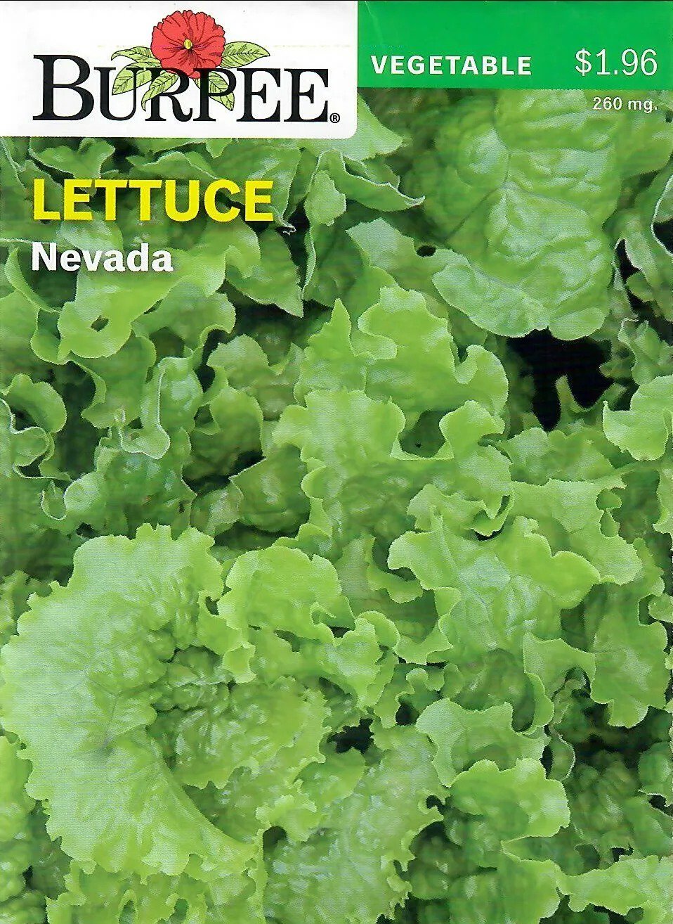 Lettuce Nevada Vegetable Seeds