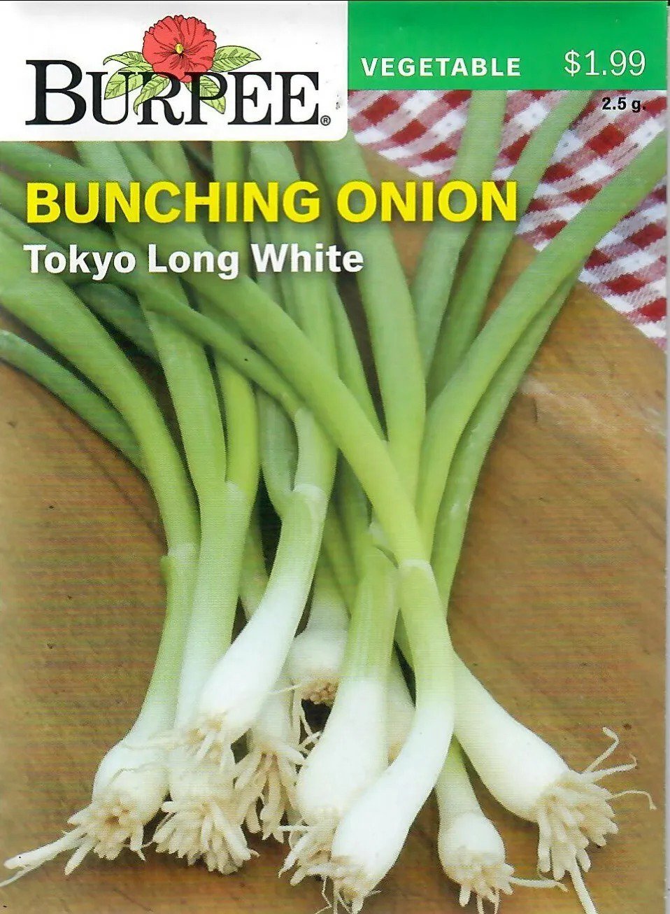 Onion Tokyo Long White Vegetable Seeds