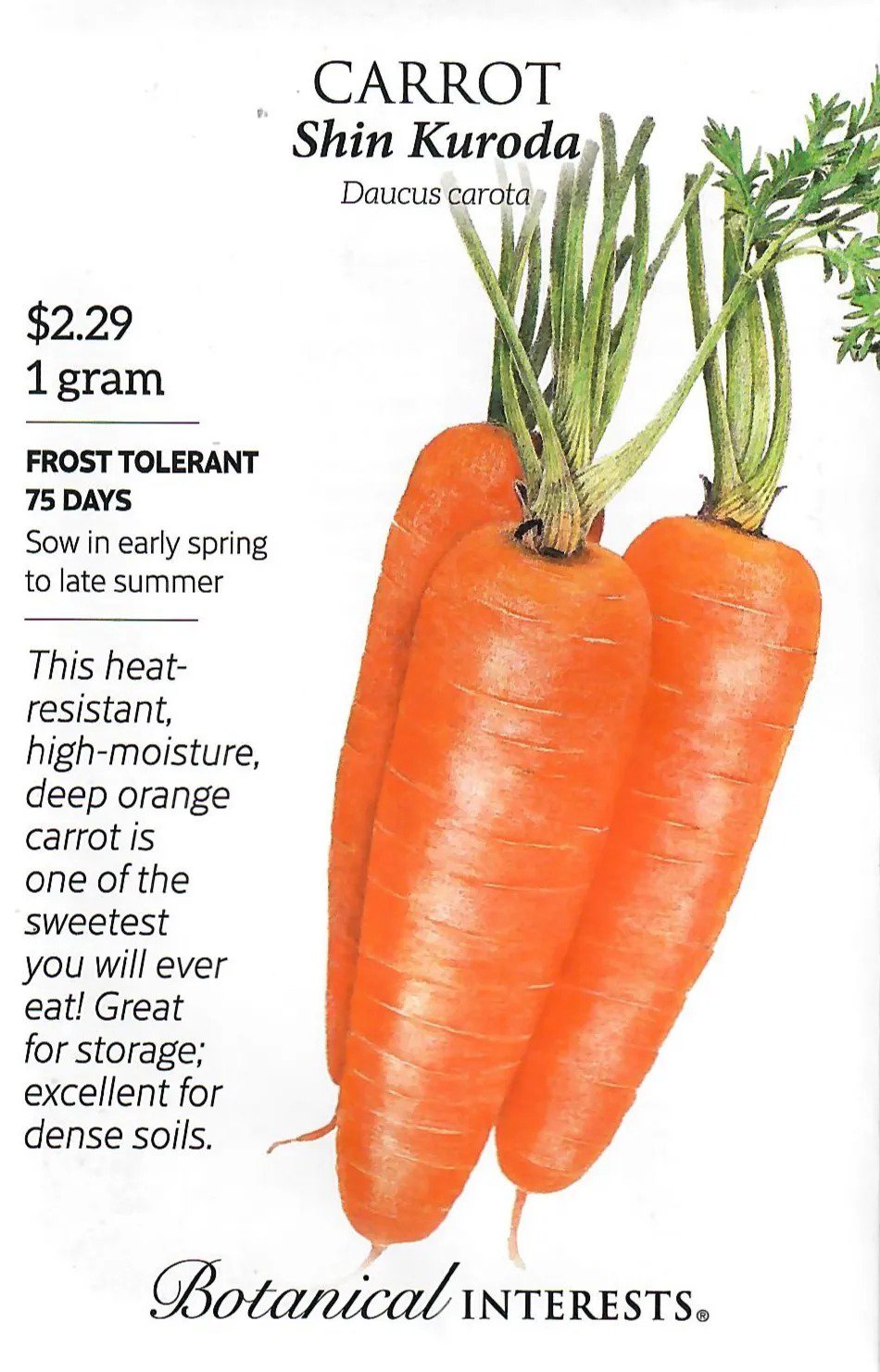 Carrot Shin Kuroda Vegetable Seeds