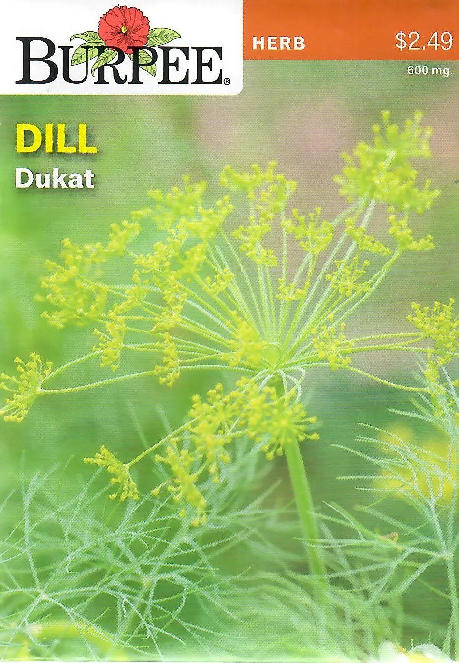 Dill Dukat Herb Seeds