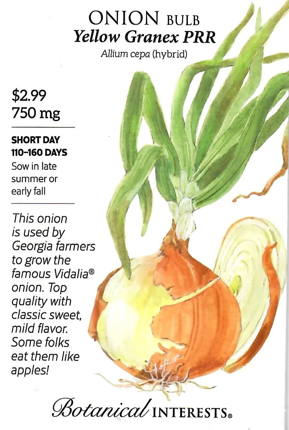 Onion Yellow Granex Prr Vegetable Seedss