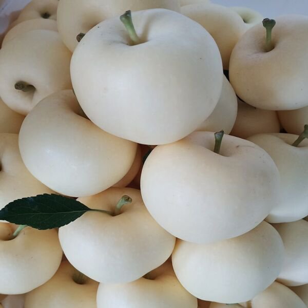 50 White Creamy Apple Fruit Sweet White Apple Organic Fruit Seeds Fresh ...