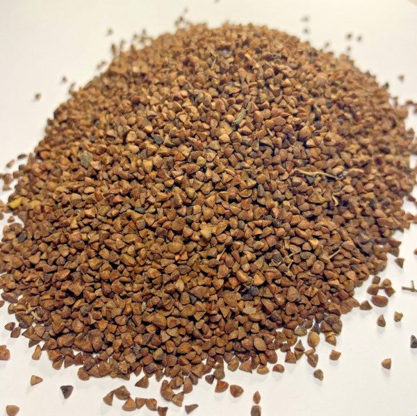 Bulk Henna Seeds Lawsonia Inermis Tattoo Mehandi 1000 Seeds Fresh Garden