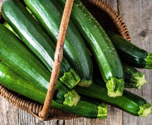 20 Dark Green Zucchini Squash Courgette Italian Zucchino Vegetable ...