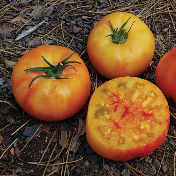20 Organic Wherokowhai Dwarf Tomato Sweet Juicy Ship Unique Fresh Seeds