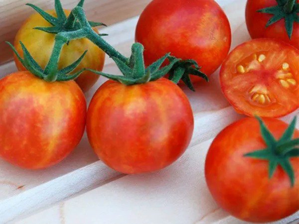 Isis Candy Cherry Tomato Delicious Juicy Summer Spring Fresh Seeds