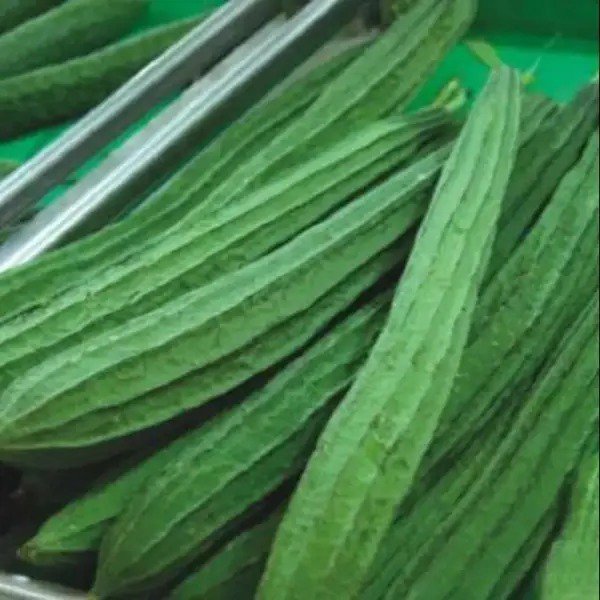 20 Chinese Okra Angled Luffa Angled Gourd Tori Turai Fresh Seeds
