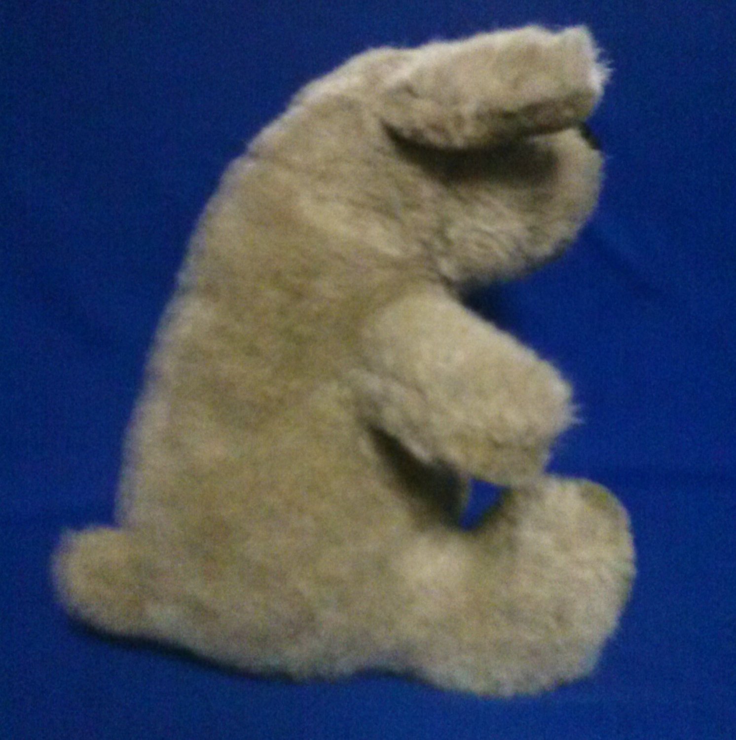 Stuffed Animal, Plush Toy, Brown muffy dog