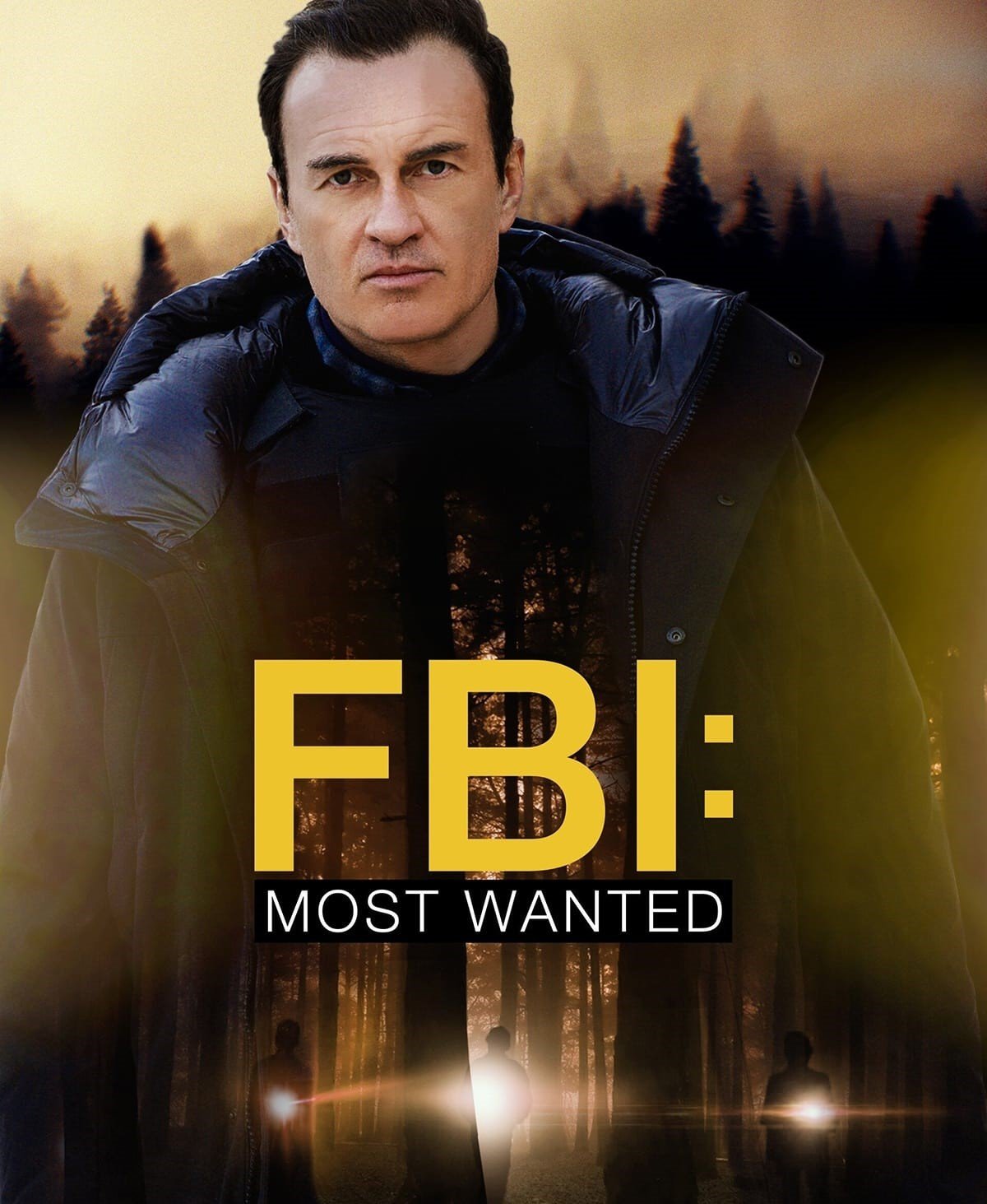 FBI Most Wanted - Complete Series