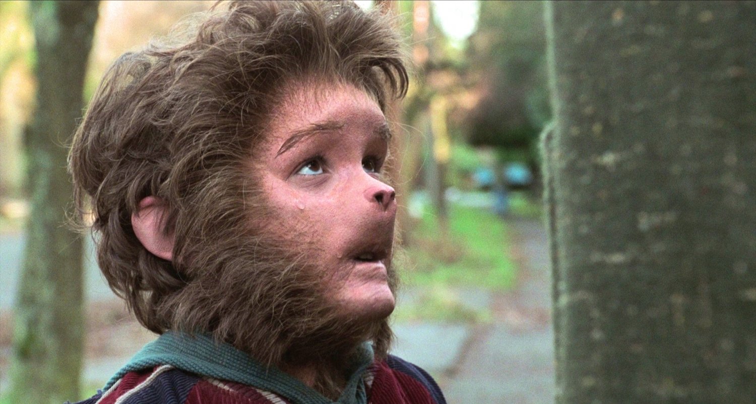 Jumanji Movie Collection