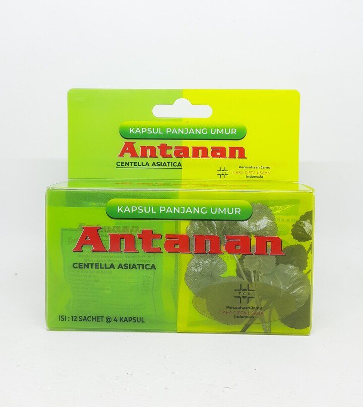 10 Boxes ORIGINAL 100% Antanan Herb 480 Capsules Arthritis Rheumatism ...