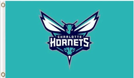 Charlotte Hornets Sport Basketball Custom US Flag 3X5Ft Polyester ...