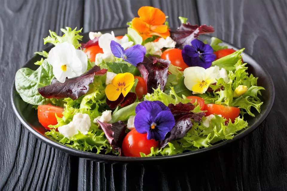 16 Types EDIBLE FLOWER MIX Flower Seeds for Planting