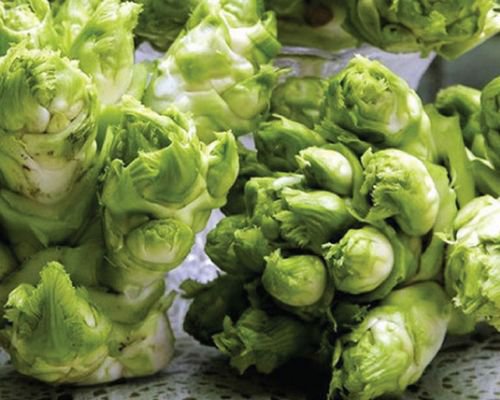 30 Brassica Juncea Coss Vegetable Seeds for Garden