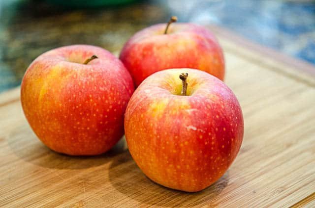 5 RED BUTTERSCOTCH APPLE Fruit Tree (FF) Cutting Rooting Grafting SCION ...