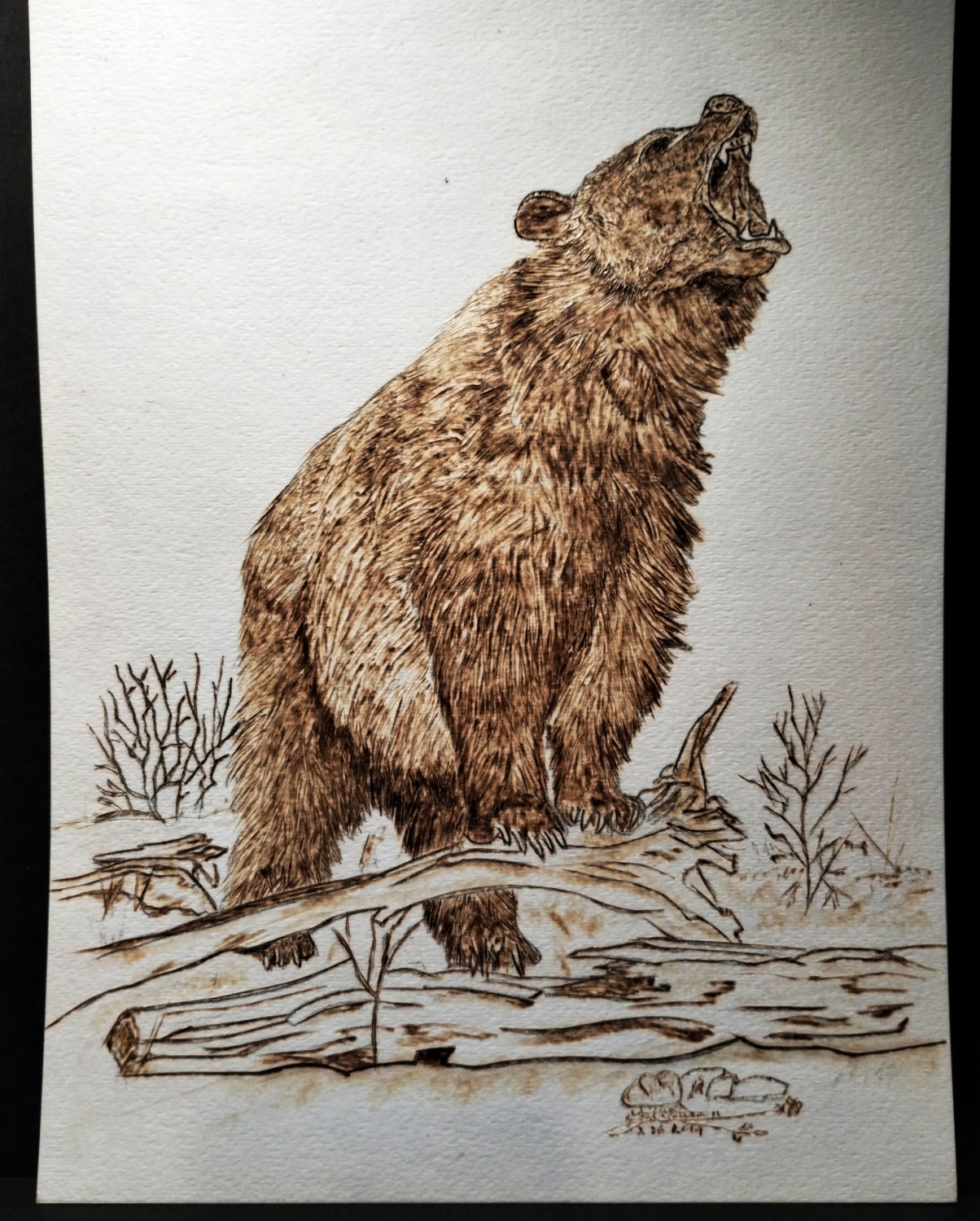 Grizzly Bear - Hand Burned Drawing - Pyrography on Textured Watercolor ...