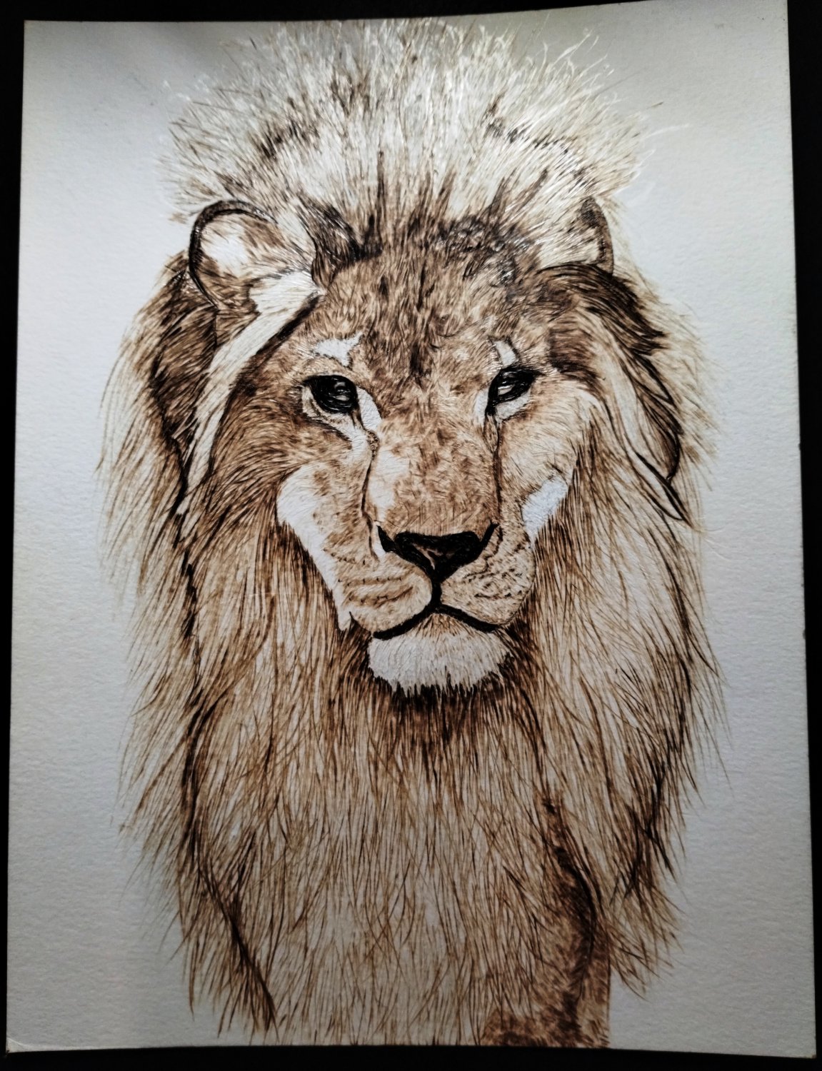 King of the Beasts - Lion - Cat - Hand Burned Drawing - Pyrography on ...