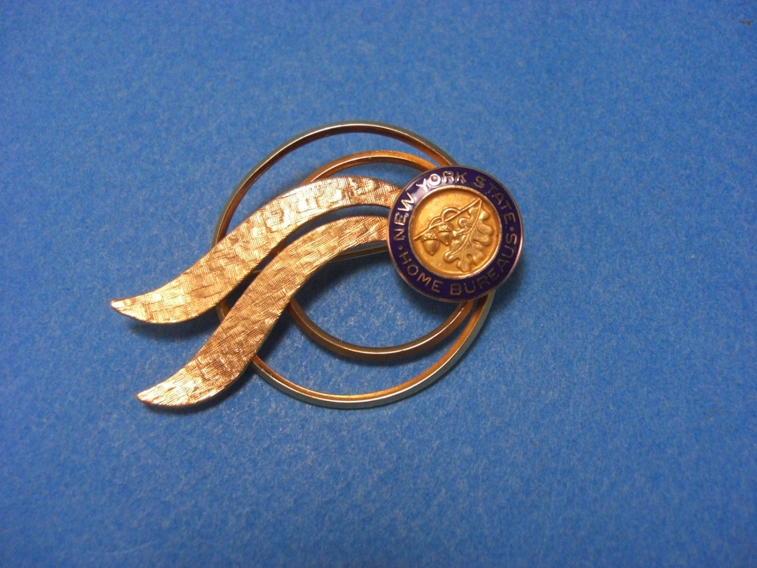 New York State Home Bureaus Government Agencies Lapel Pin