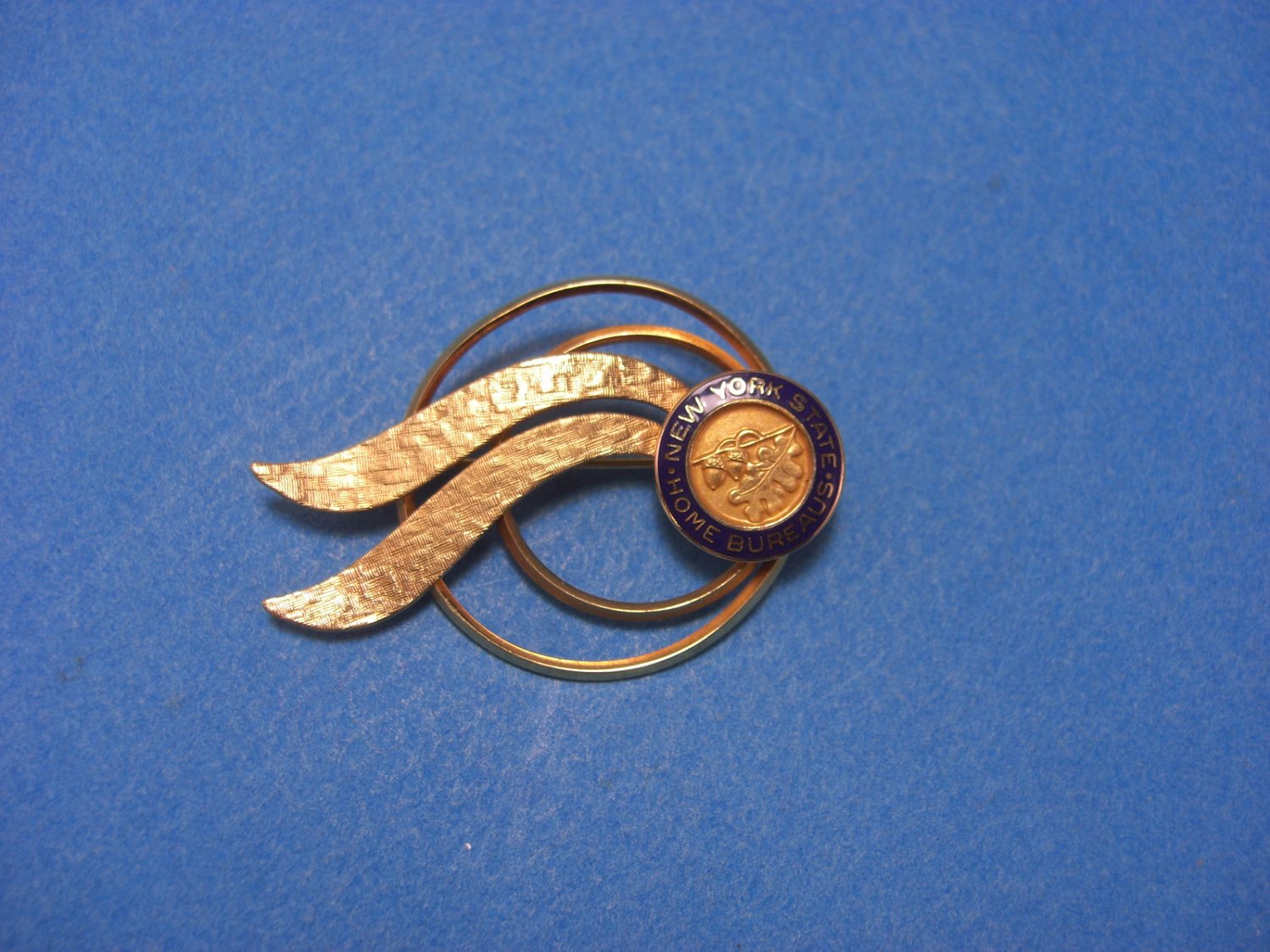New York State Home Bureaus Government Agencies Lapel Pin