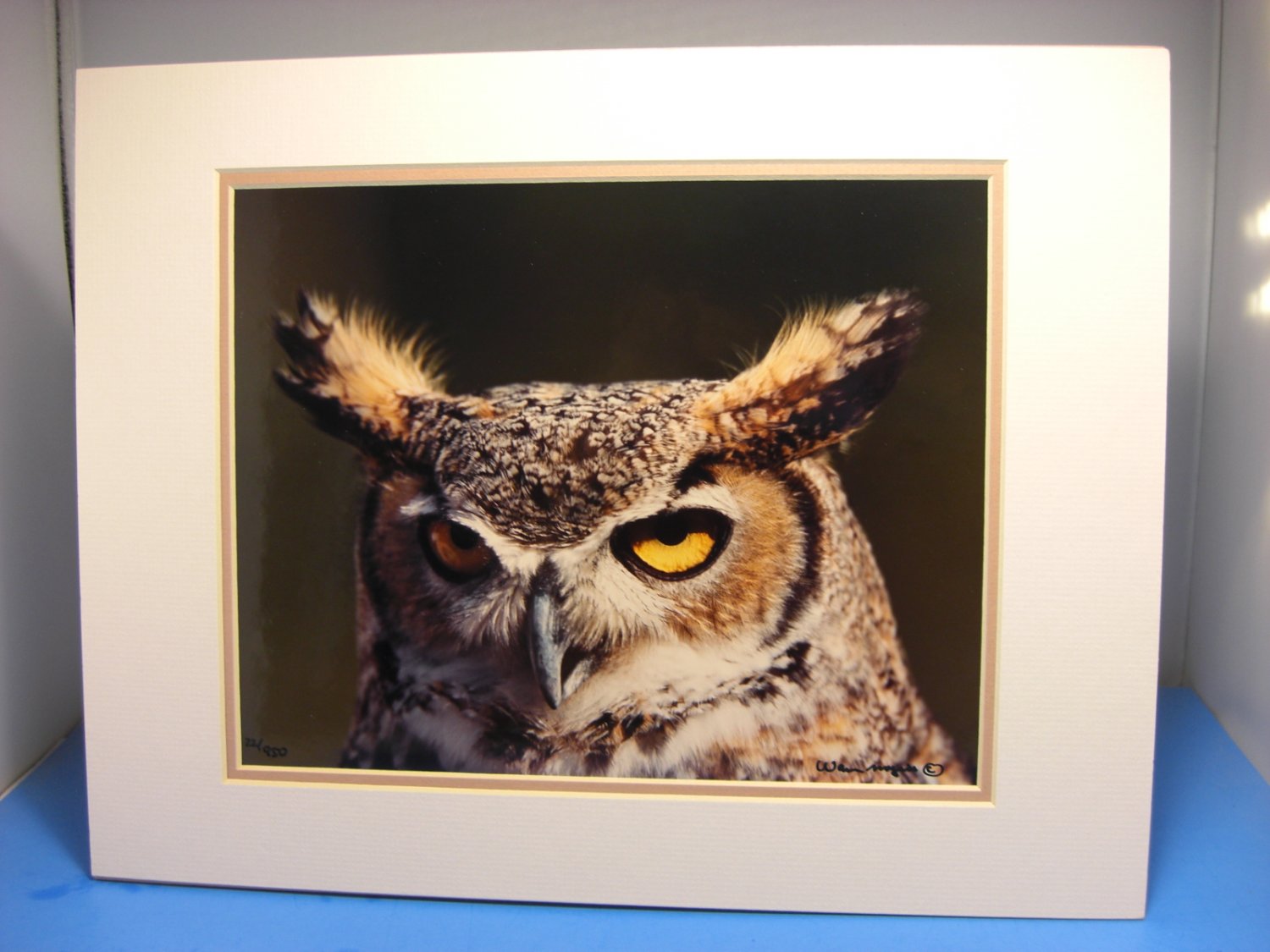 Warren Magill "Bad Hair Day" LTD ED Signed Color Photograph