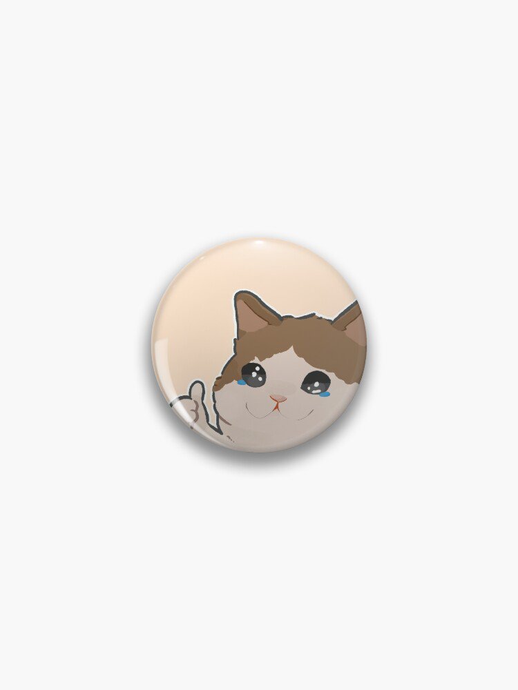 crying cat meme Pin