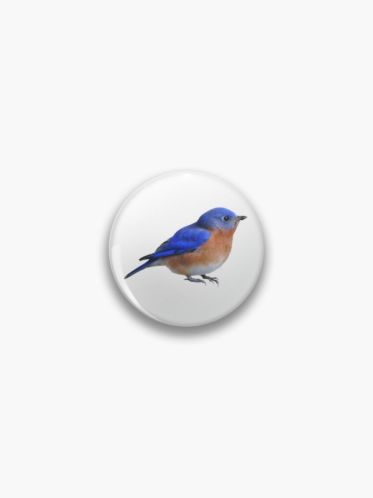 Eastern Bluebird Pin