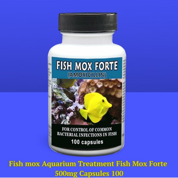 Fish mox Aquarium Treatment Fish Mox Forte 500mg Capsules 50