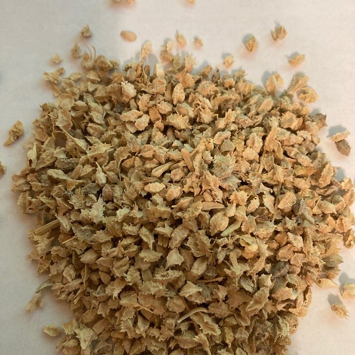 Four Wing Salt Bush Seeds Atriplex Canescens Chamiso Chamiza Tree Fresh ...