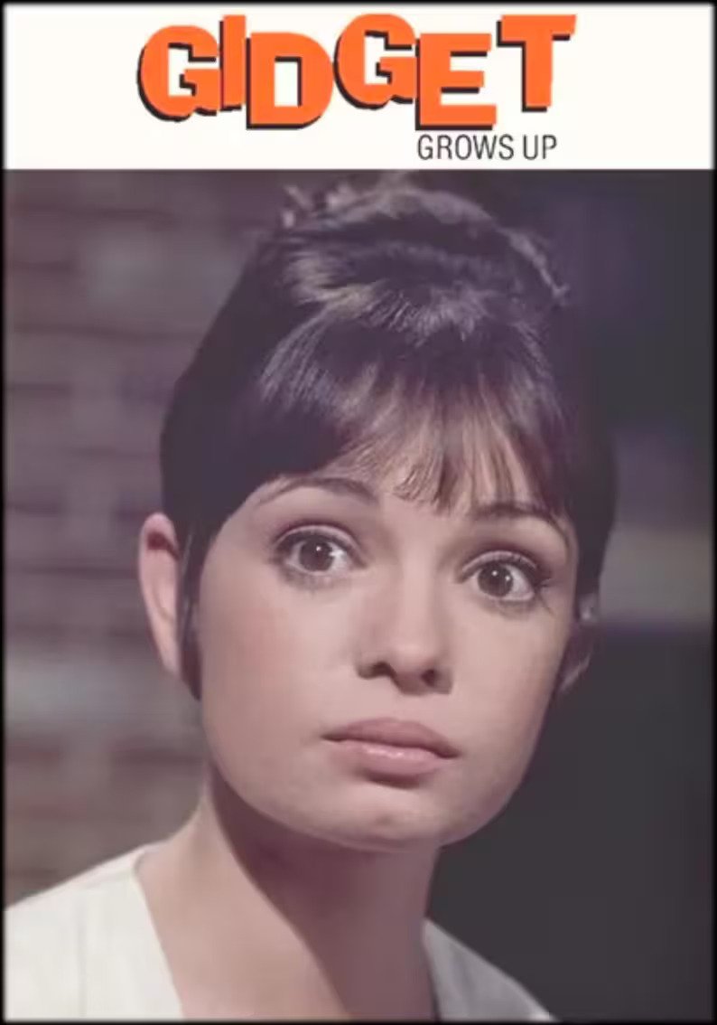 Gidget Grows Up (1969) DVD Movie