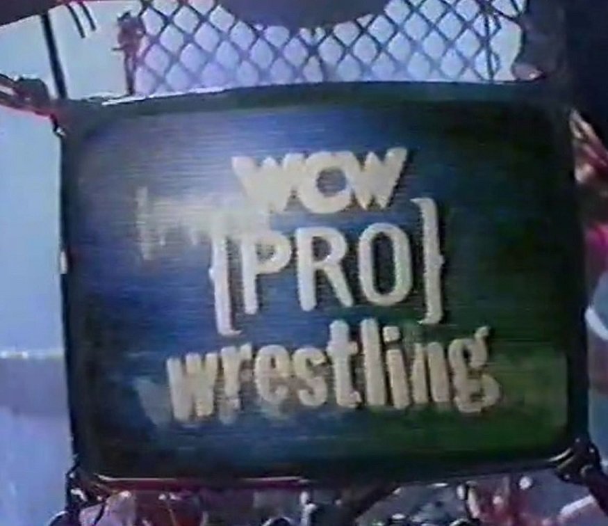 WCW PRO 1996 Complete 12 DVD-R Set