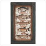 Freshwater Fish Shadow Box
