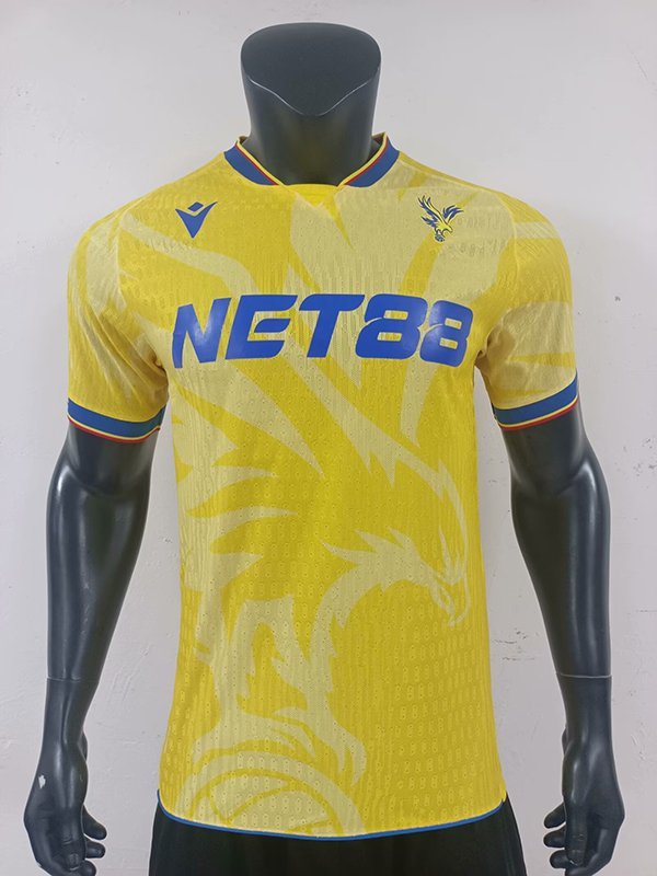 Crystal Palace 24-25 away player version