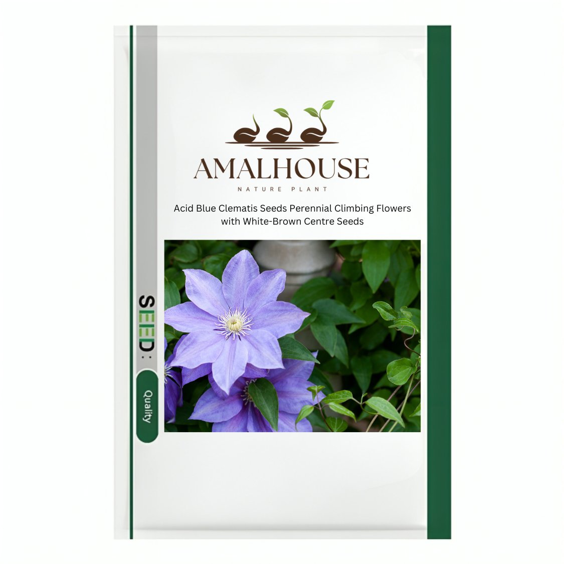 Acid Blue Clematis Seeds Perennial Climbing Flowers with White-Brown ...