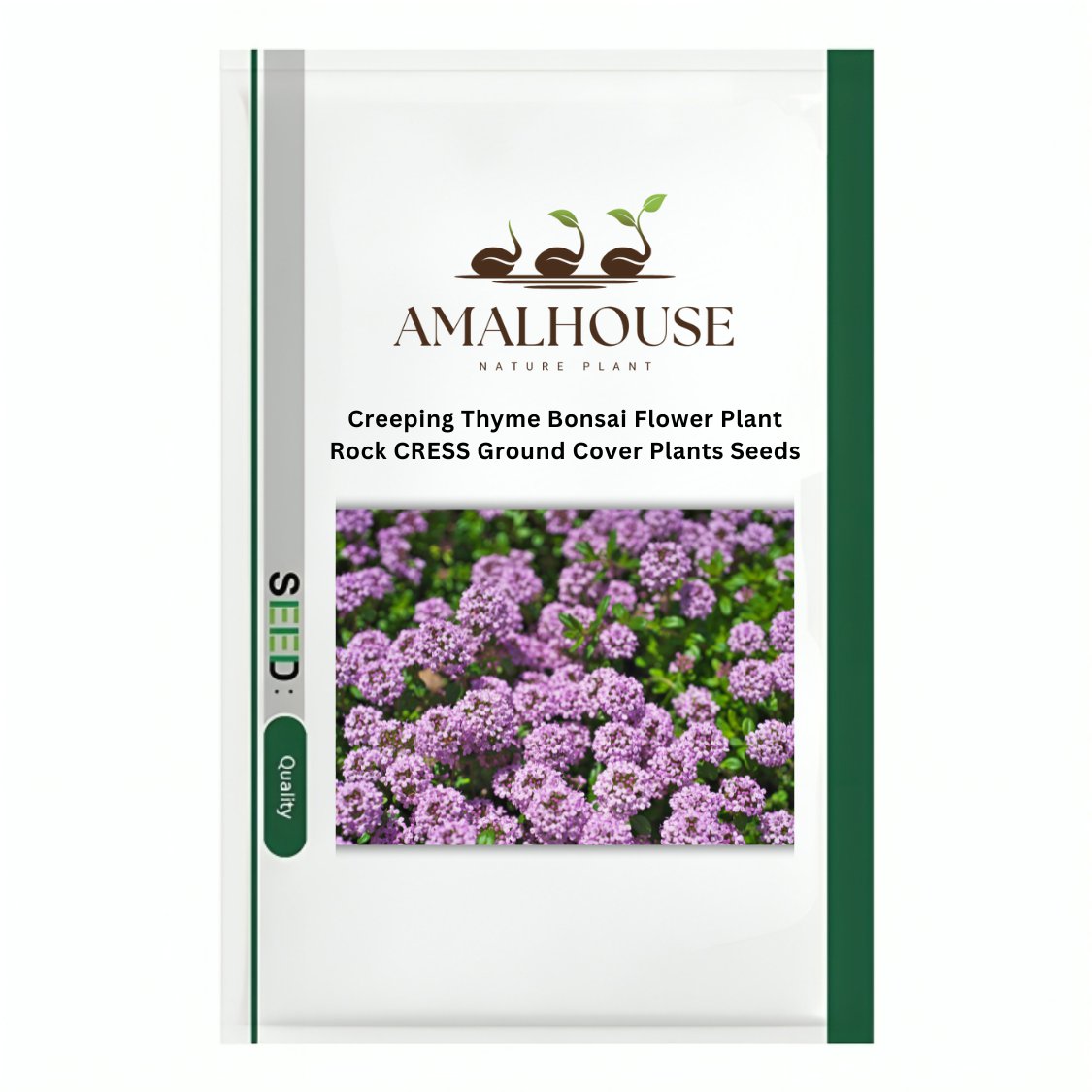 Creeping Thyme Bonsai Flower Plant Rock CRESS Ground Cover Plants - 200 ...