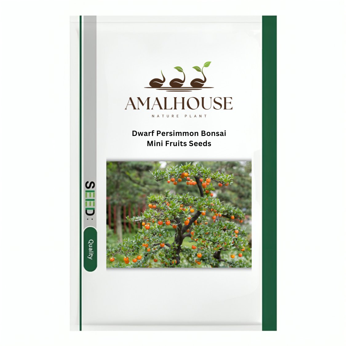 Dwarf Persimmon Bonsai Mini Fruits - 20 PCS Seeds