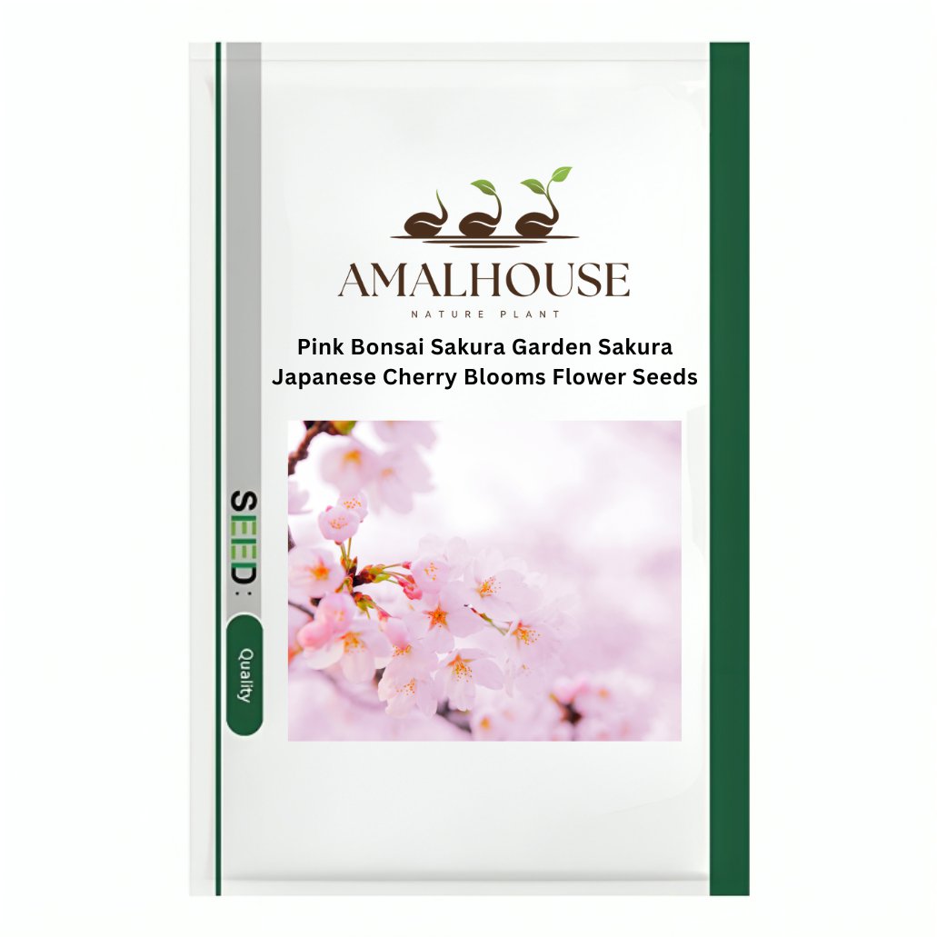 Pink Bonsai Sakura Garden Sakura Japanese Cherry Blooms Flower - 10 PCS ...