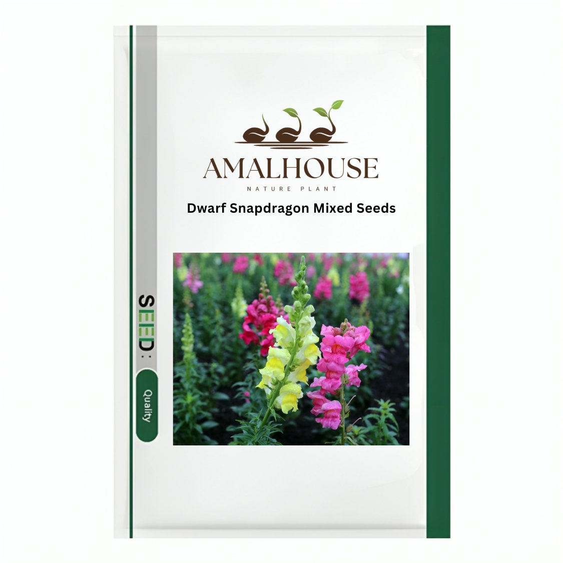 Dwarf Snapdragon Mixed - 500 PCS Seeds