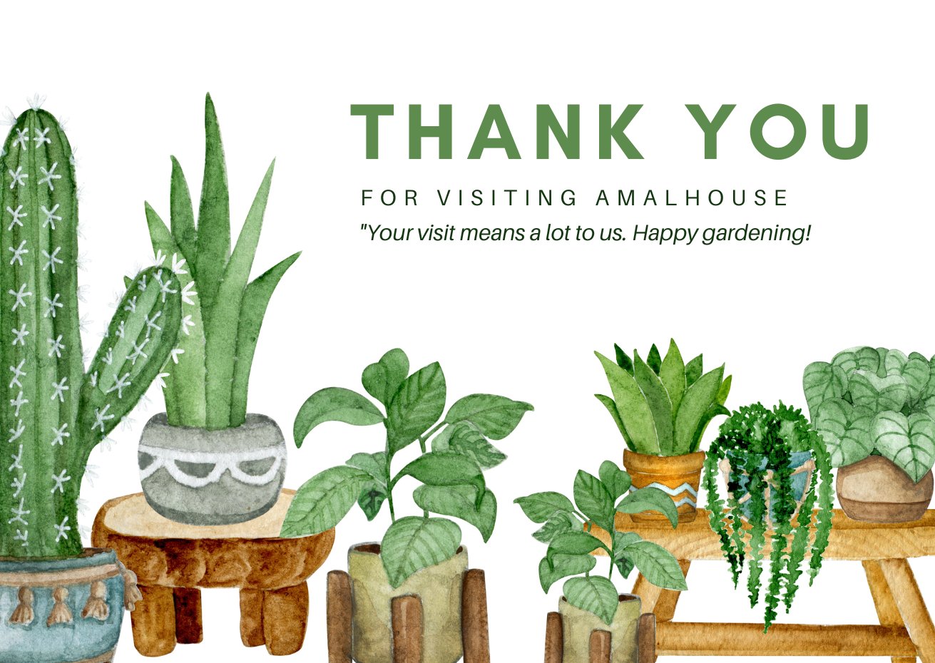 Jimmy Red Corn Famous Bootlegger Moonshine Grits Hominy Masa Corn ...