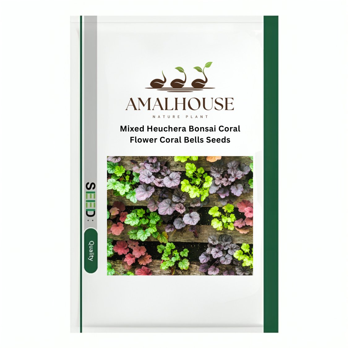 Mixed Heuchera Bonsai Coral Flower Coral Bells - 100 PCS Seeds